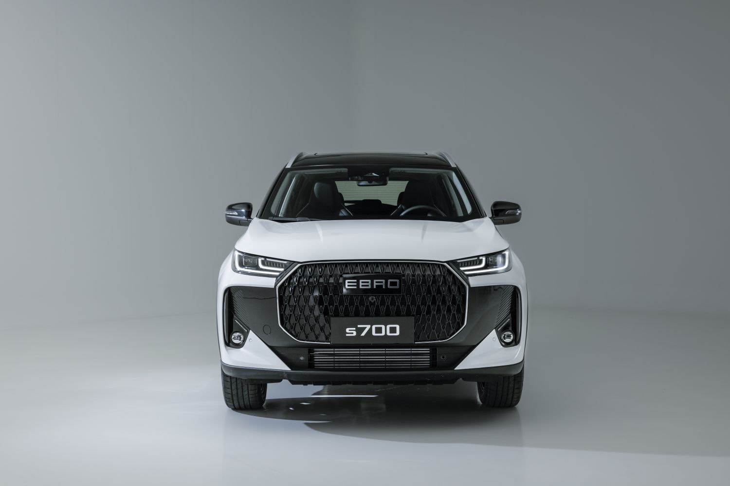 Galería de fotos del Ebro S700 | ¿Qué coche me compro?